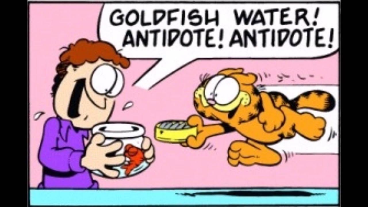 Garfield Sunday Comic - This Could go On For Days - YouTube
