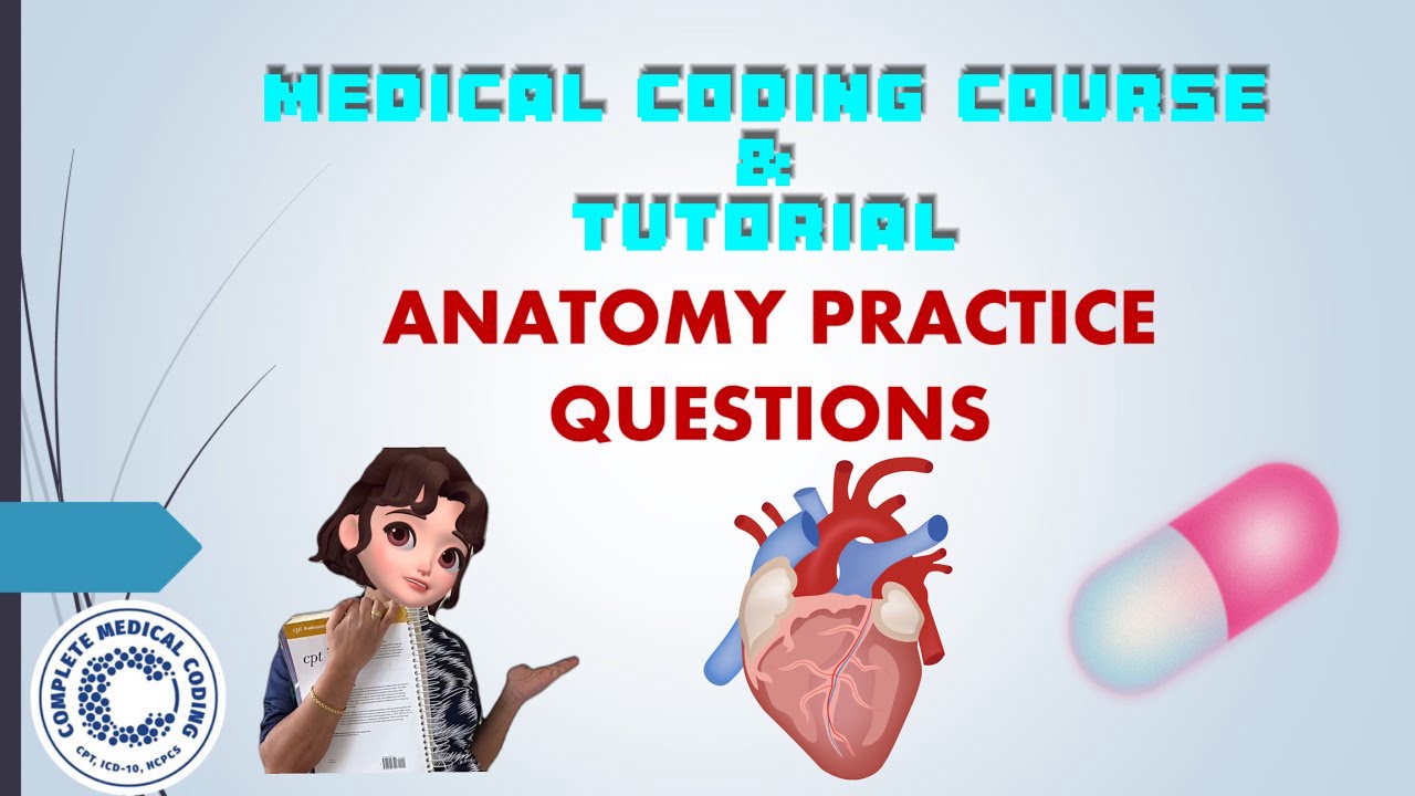 CH-76: Anatomy Practice Questions l CPC l AAPC l Medical Coding Course ...