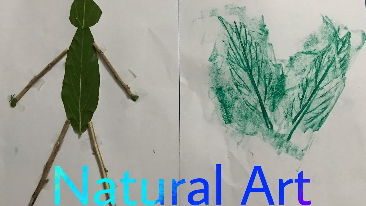 How to make a Leaf Collage and Leaf Tracing - YouTube