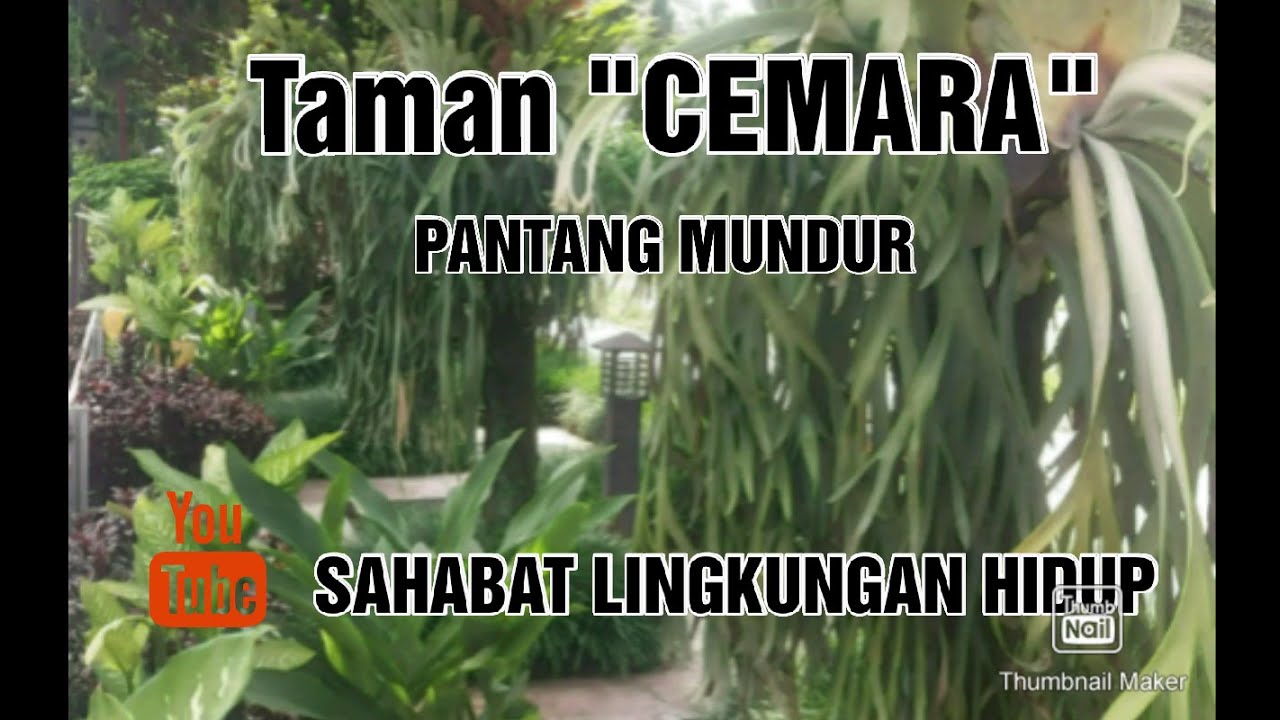 Pantang Mundur - YouTube