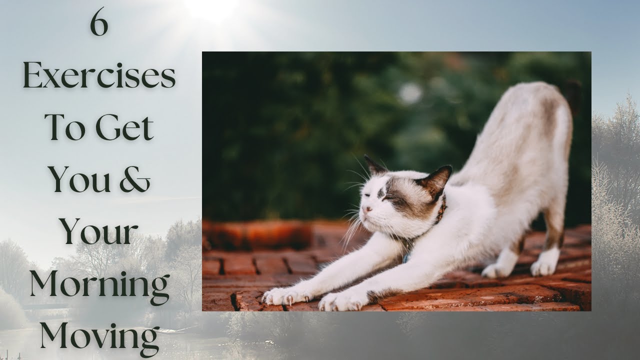 Morning Exercises To Get You and Your Morning Moving - YouTube