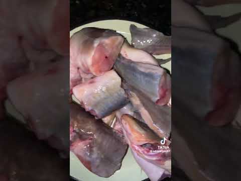 caldo de pescado el gran levanta borracho