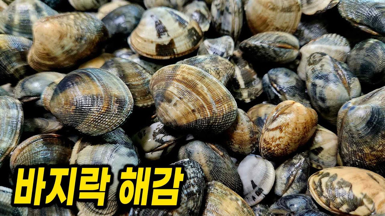 바지락조개 해감 손질하는 법 / 소분하고 냉동 보관까지 쉽습니다 / How to remove and trim clam soil ...