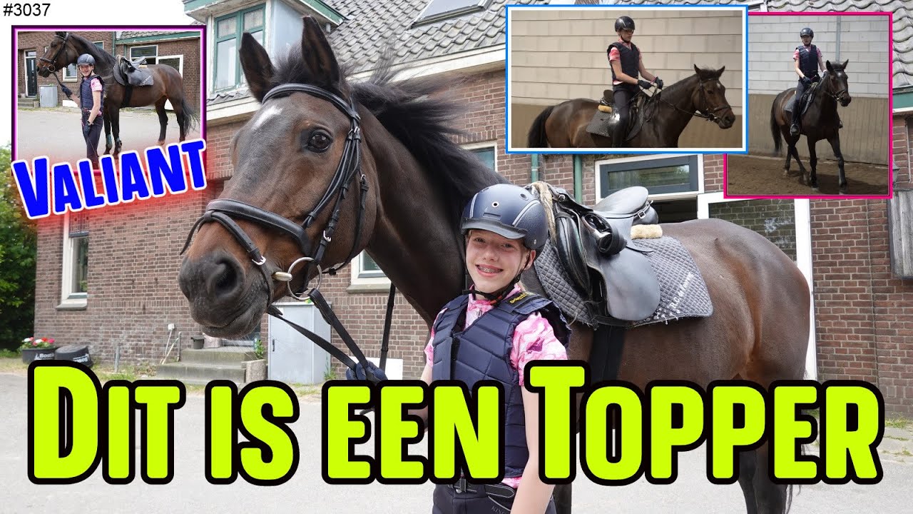 PaardRijden op Valiant. Een MOOI GROOT PAARD die ZALIG in GALOP rijd ...