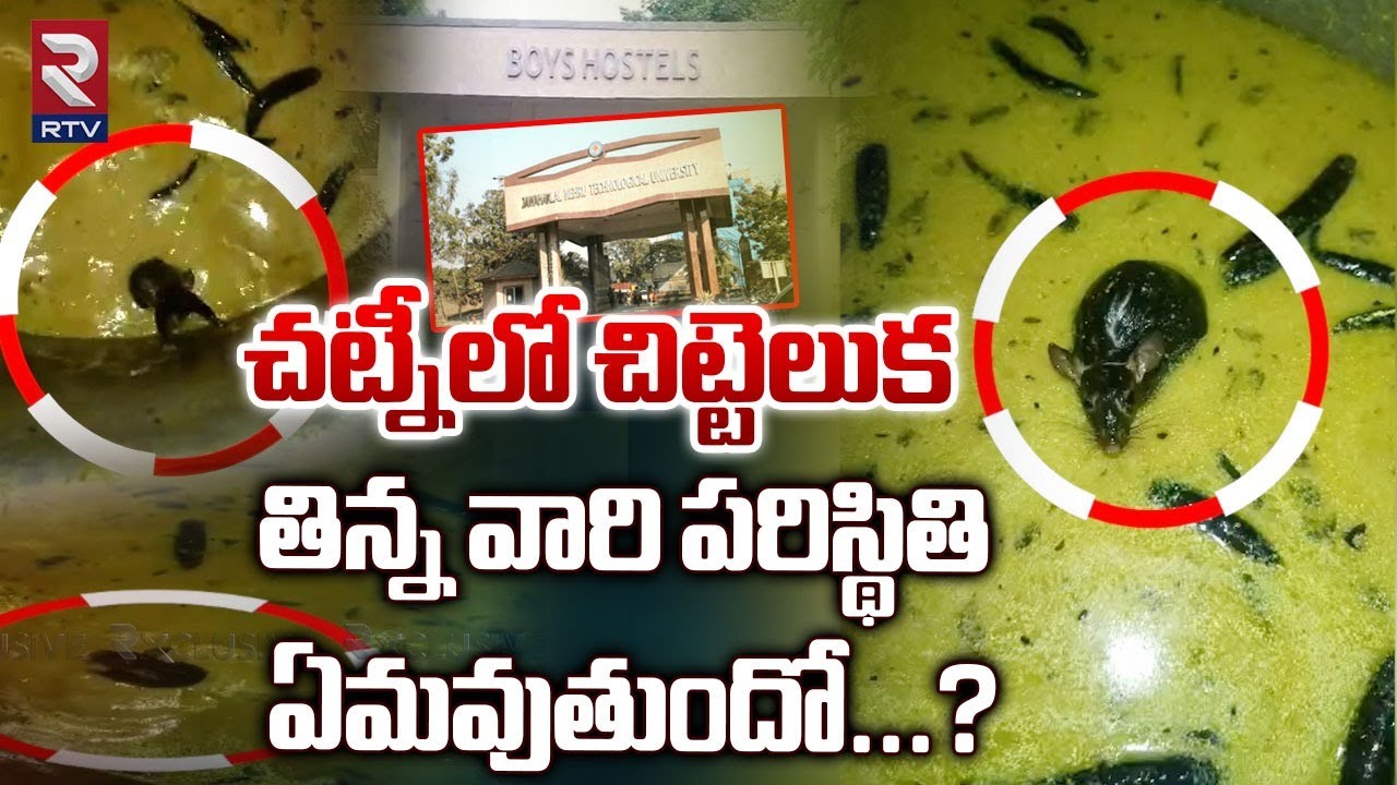 చట్నీలో చిట్టెలుక తిన్న వారి పరిస్థితి ఏమవుతుందో ?| Rat Found In ...