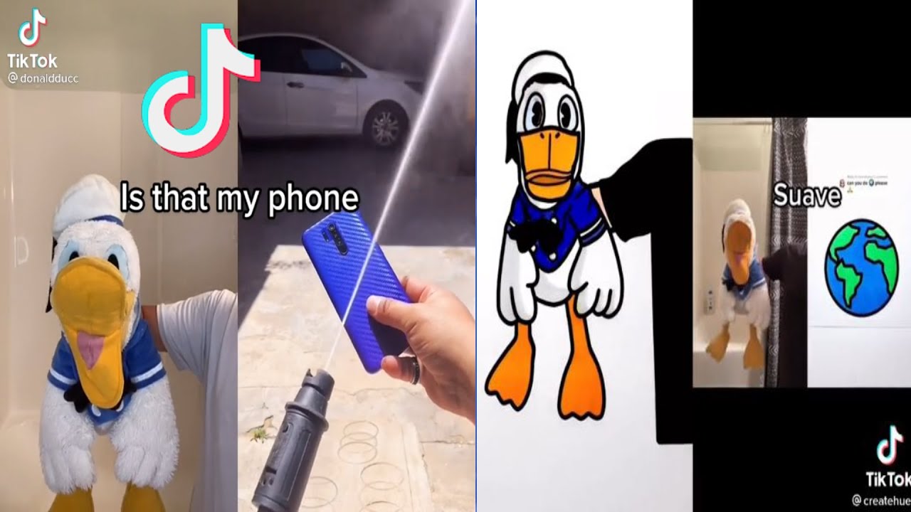 Donaldducc TikToks Videos - YouTube