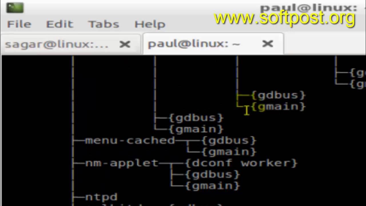 Difference between local shell variable and environment variable in Linux - YouTube