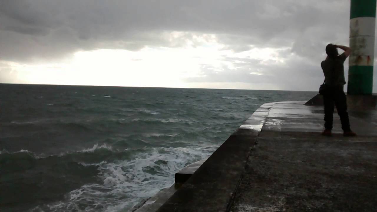 Dolphins by Aberystwyth lighthouse - YouTube
