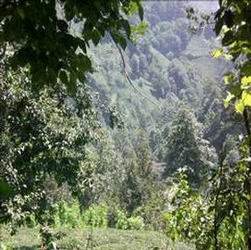 ismail türüt- potbori(dünya tatlısı)