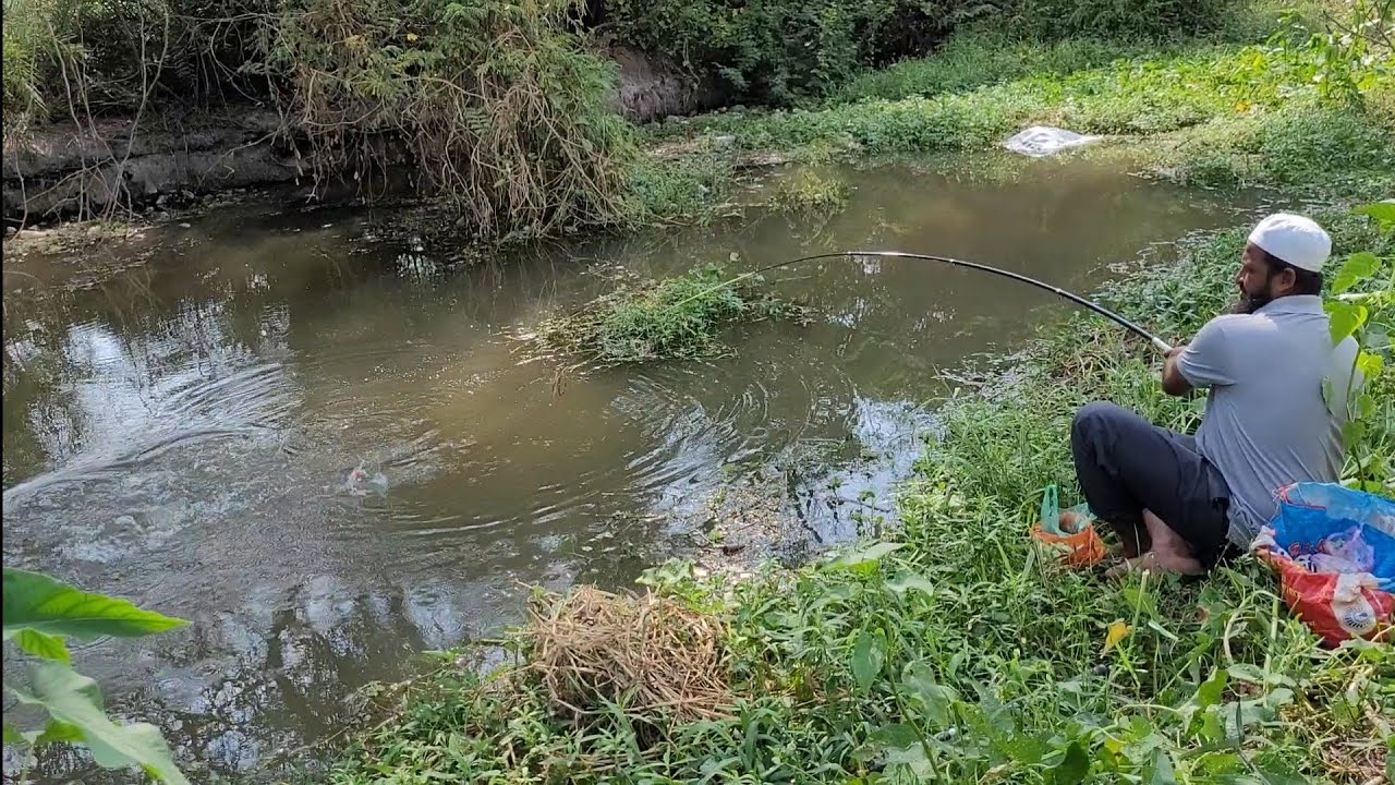 How To Catching The Fishes In Small Hook|Cat Fishing|Catching The Cat ...