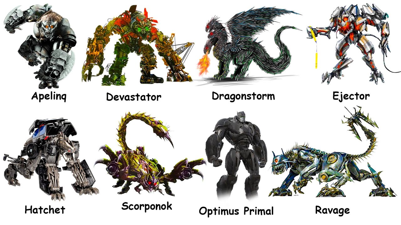 Every Animal like Transformer Explained - YouTube