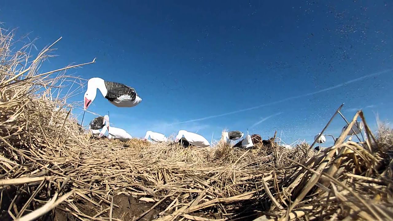 Arkansas Snow Goose Tornado - YouTube