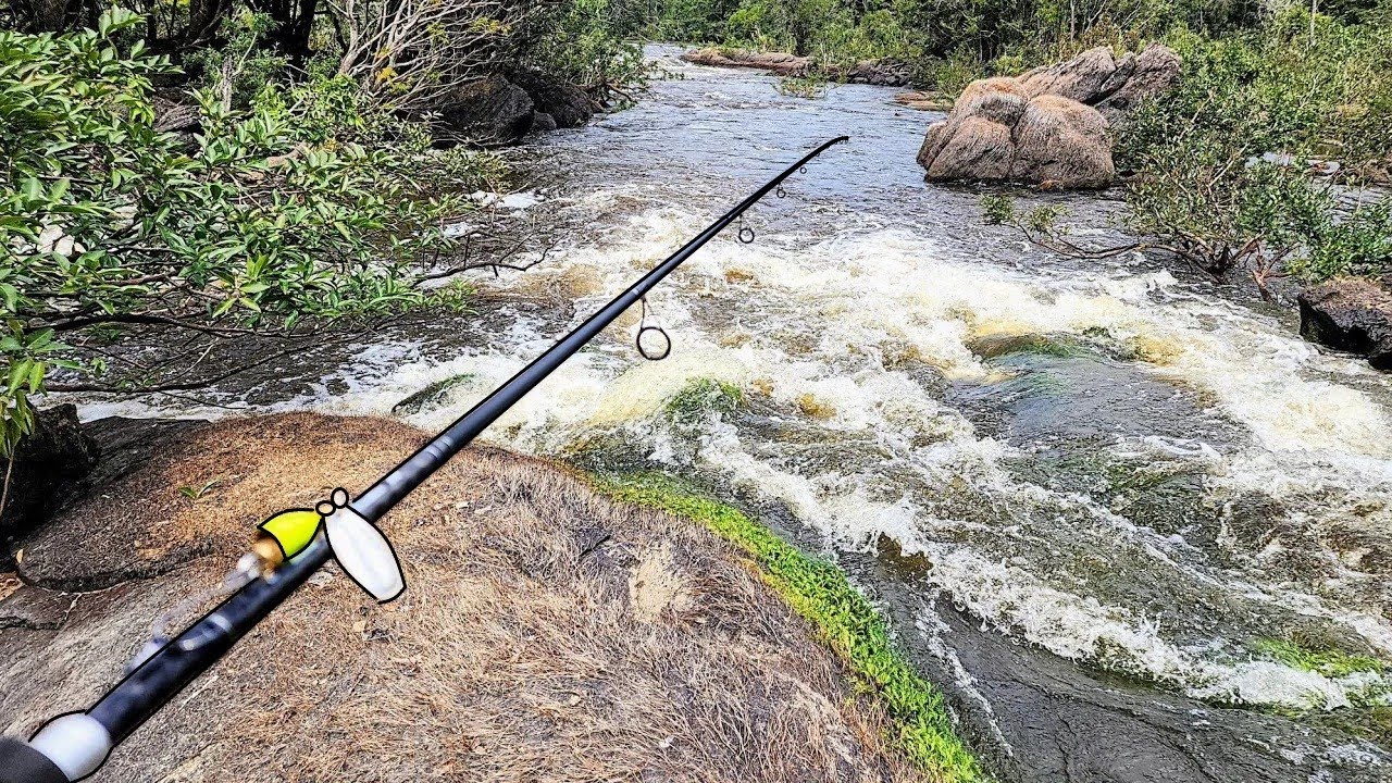 We Caught DRAG BURNING FISH From AMAZON RAPIDS!! (BIG FISH Catch and ...