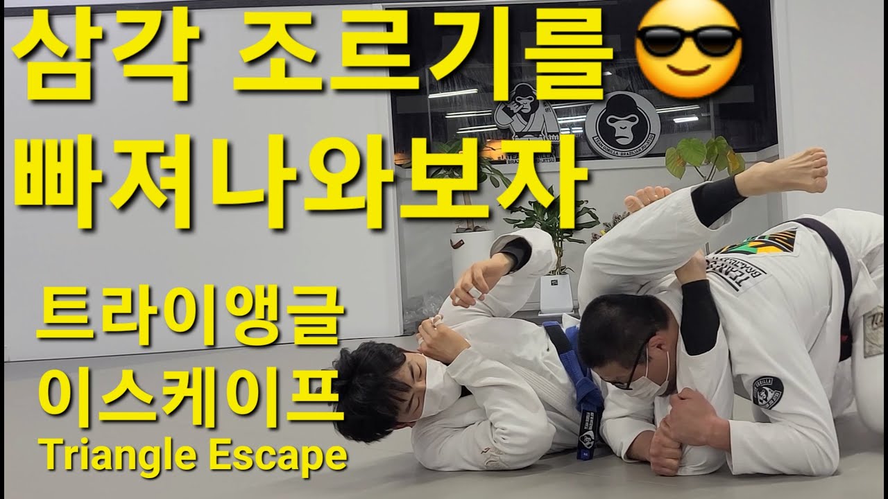 트라이앵글 이스케이프 Triangle Escape (기술도움 : 김민우) #트라이앵글이스케이프 #TriangleEscape ...
