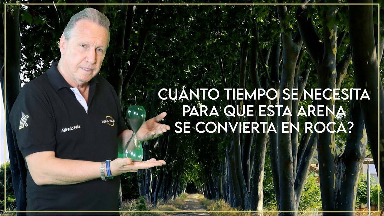 CUÁNTO TIEMPO SE NECESITA PARA QUE ESTA ARENA SE CONVIERTA EN ROCA ...