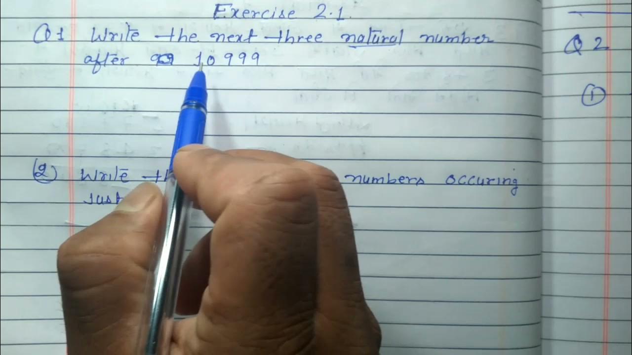 Class 6 - Exercise 2.1 - Q 1 | Write the next three natural numbers ...