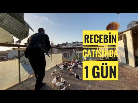 RECEBİN ÇATISINDA 1 GÜN GEÇİRDİK BOL KAÇAKLI BİR VİDEO OLDU