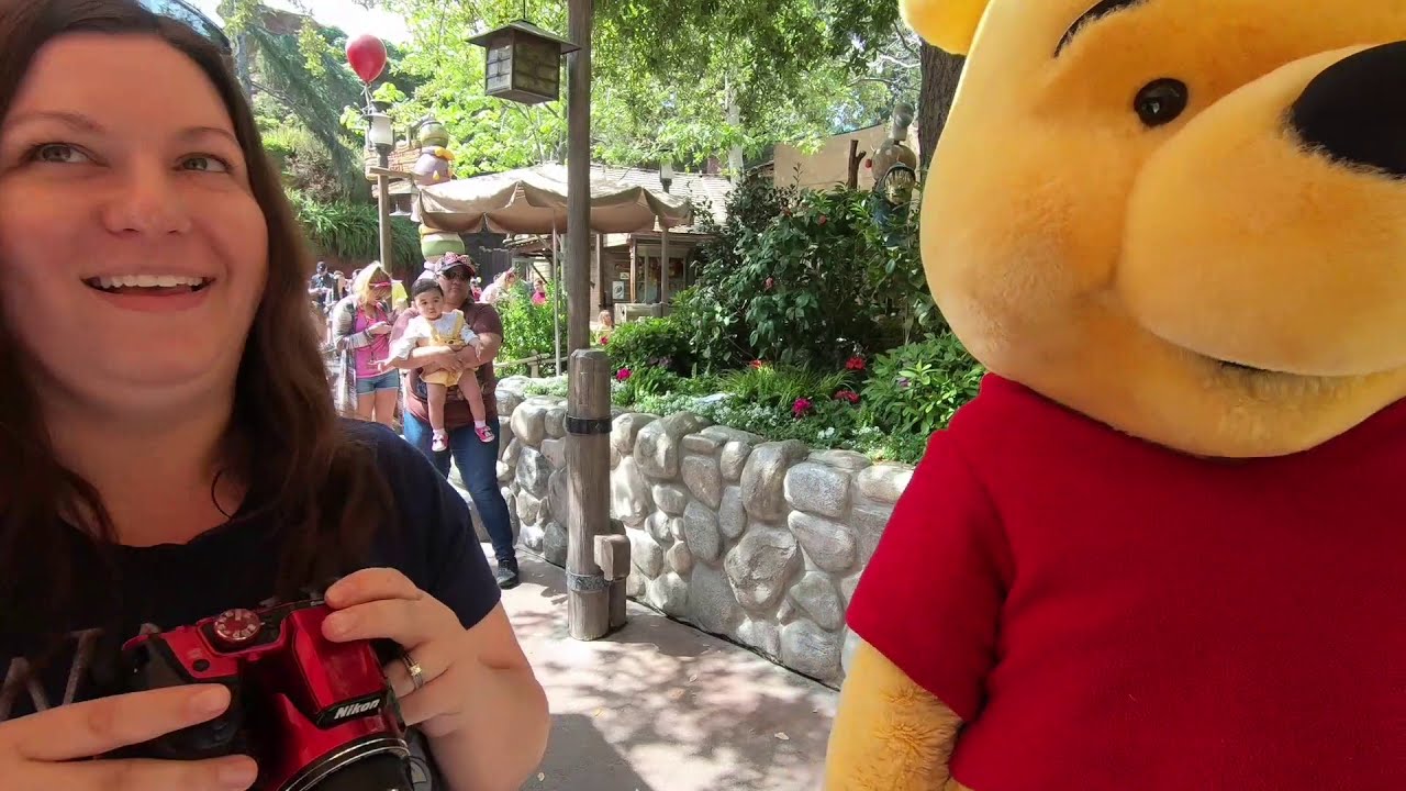Disneyland We met Winnie The Pooh Bear and Eeyore plus Aladdin ...