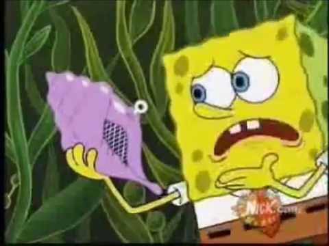 The Magic Conch Shell Spongebob - YouTube