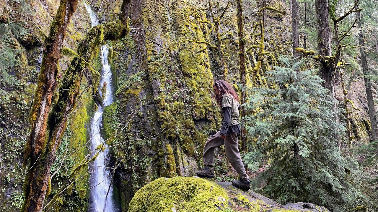 Springtime in Oregon | Flowers, Waterfalls, and Snowy Mountains - YouTube