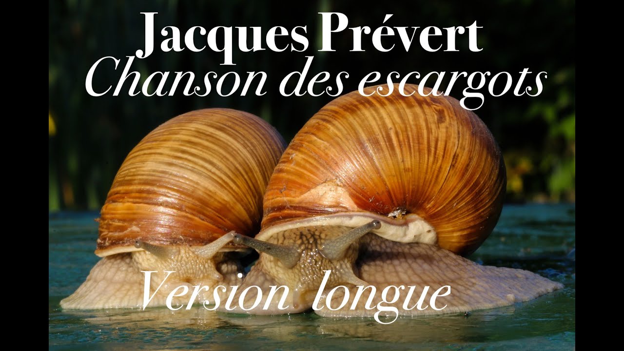 Poésie - Chanson des escargots - Jacques Prévert [version longue] - YouTube
