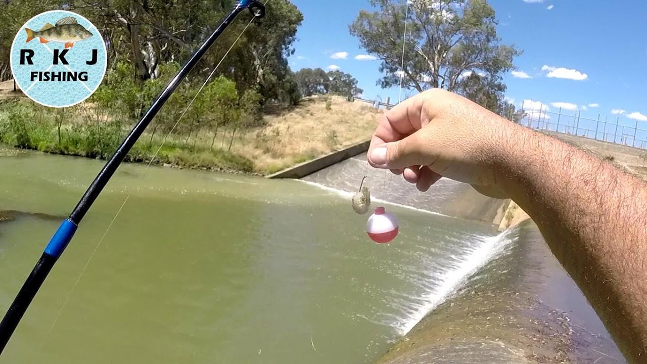 Float fishing using frozen shrimp tails - YouTube