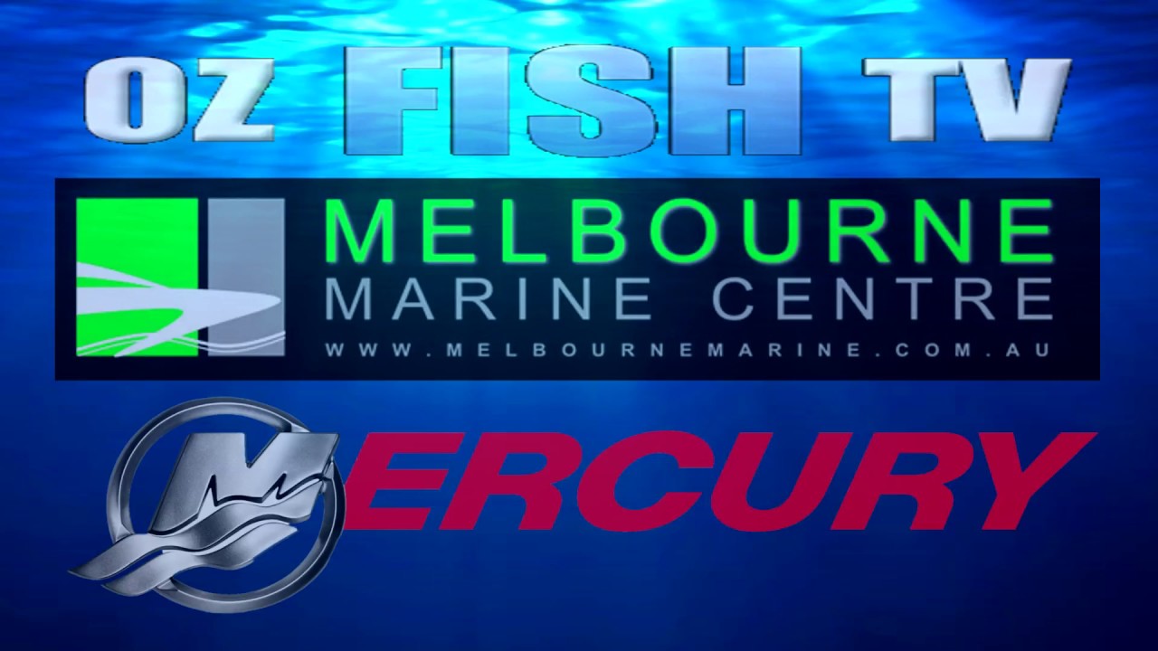Oz Fish Announcement - YouTube