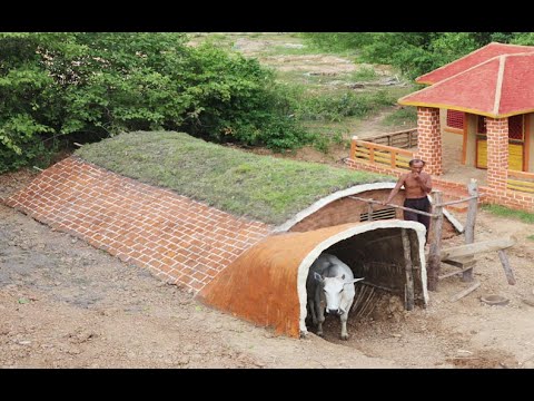 I build daily : Building secret underground hut for cows _ secret house ...