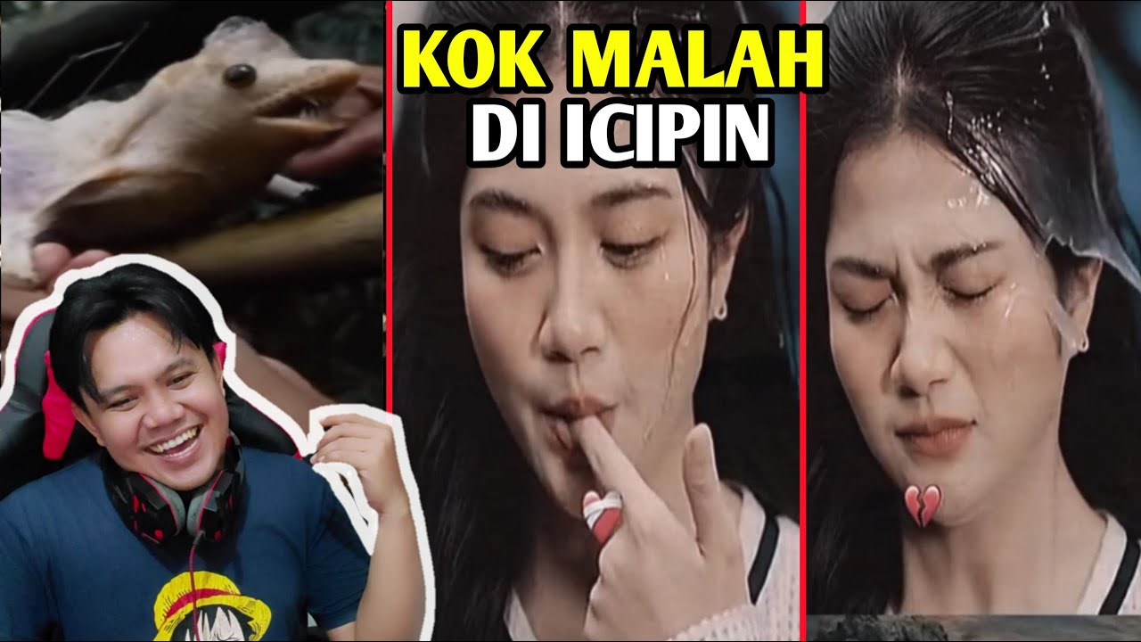 Meme Kocak Tiktok Viral !! React Meme Kocak - YouTube