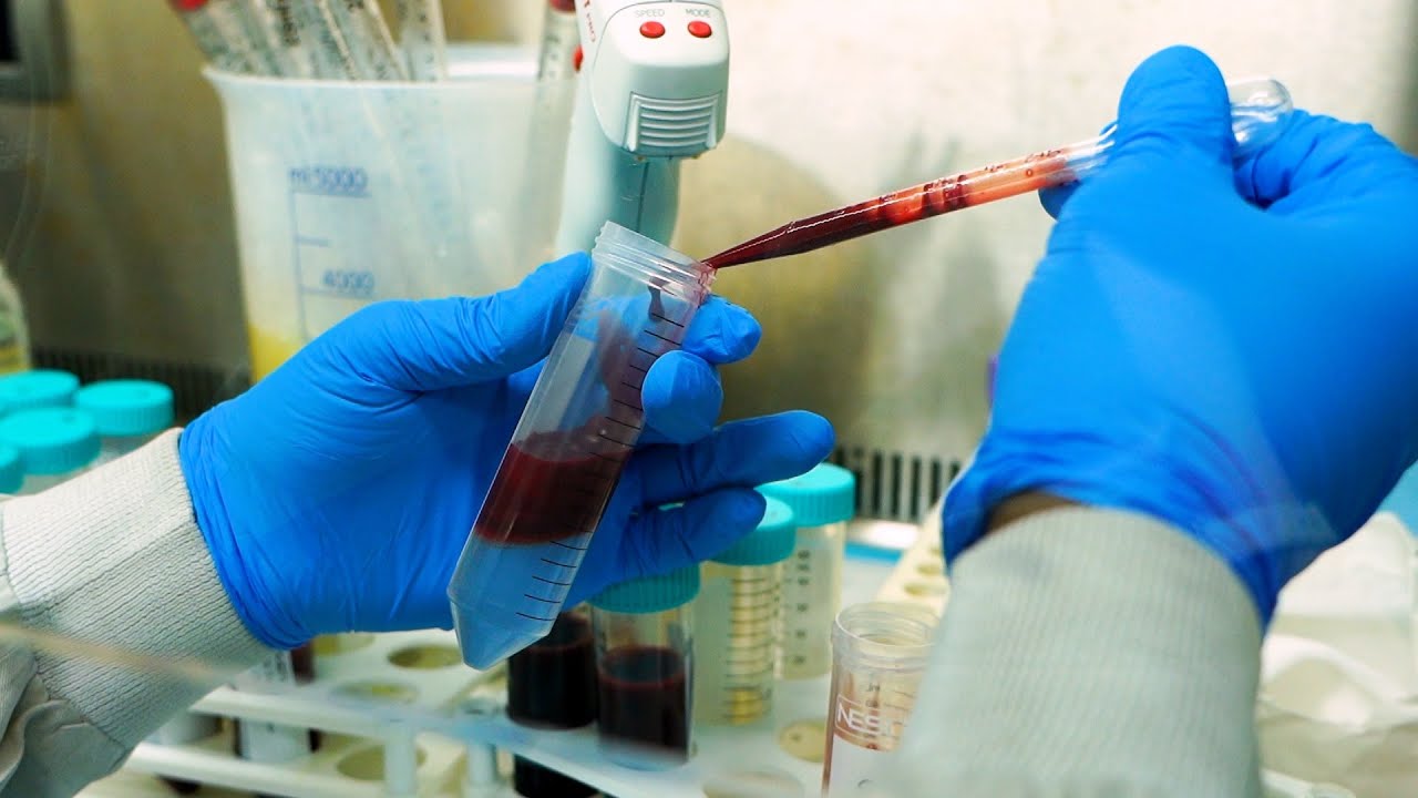 HIV Pathogenesis Programme- School of Laboratory Medicine and Medical ...