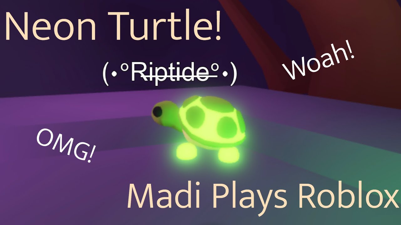 Making Neon Turtle!! | Roblox Adopt Me - YouTube