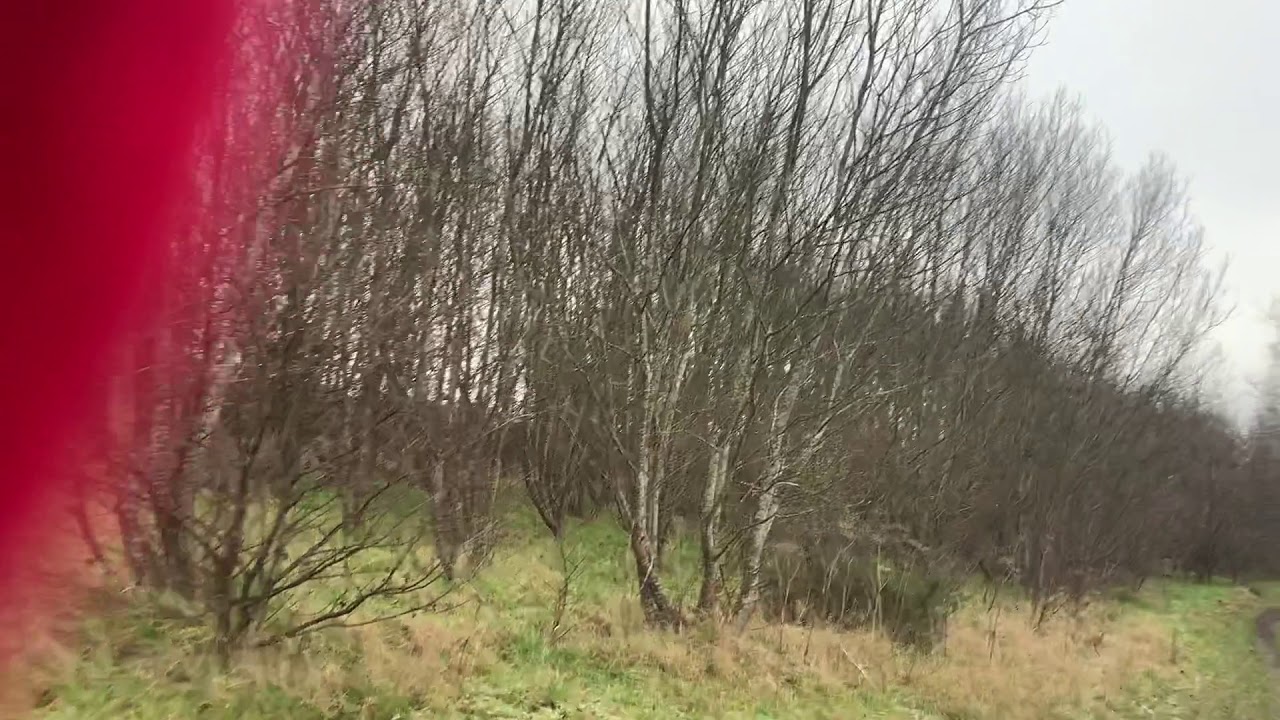 Thornton Fife Scotland - Walk around Thornton Pond - YouTube