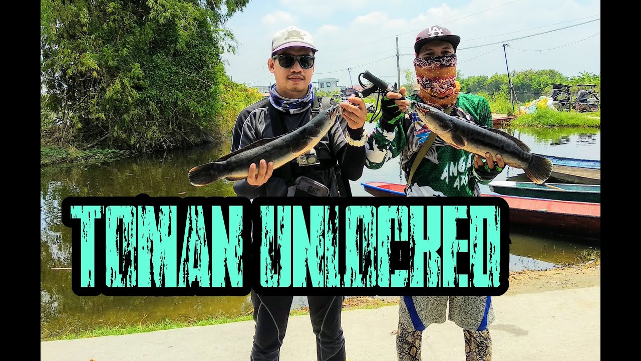 Monster Toman | Ikan Toman | Macabebe Pampanga | Philippines 🇵🇭 | Boat ...