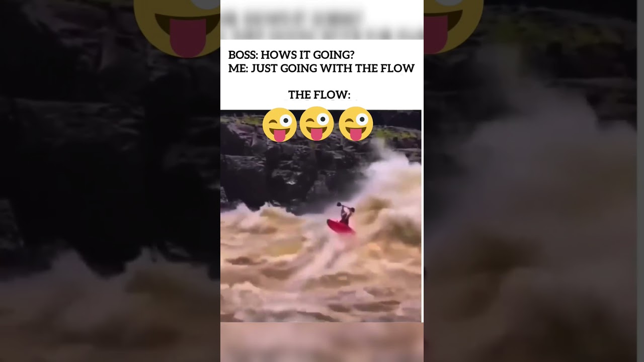 Flow Team Memes Going With The Flow: Funny Meme Moments