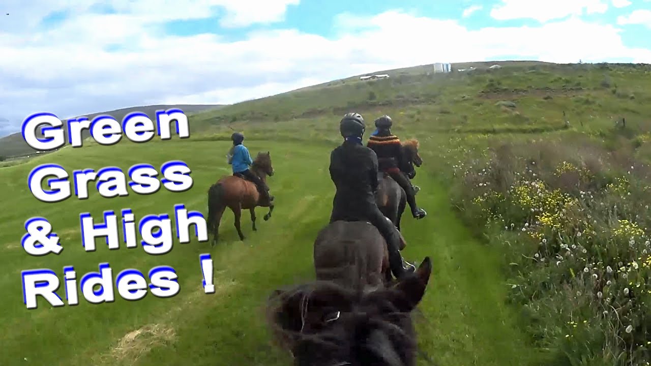 Green Grass and High Rides On Horseback ! 🇮🇸 🐴 - YouTube