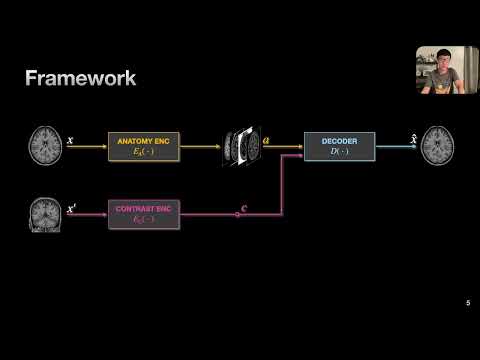 Disentangling from A Single MR Modality - YouTube