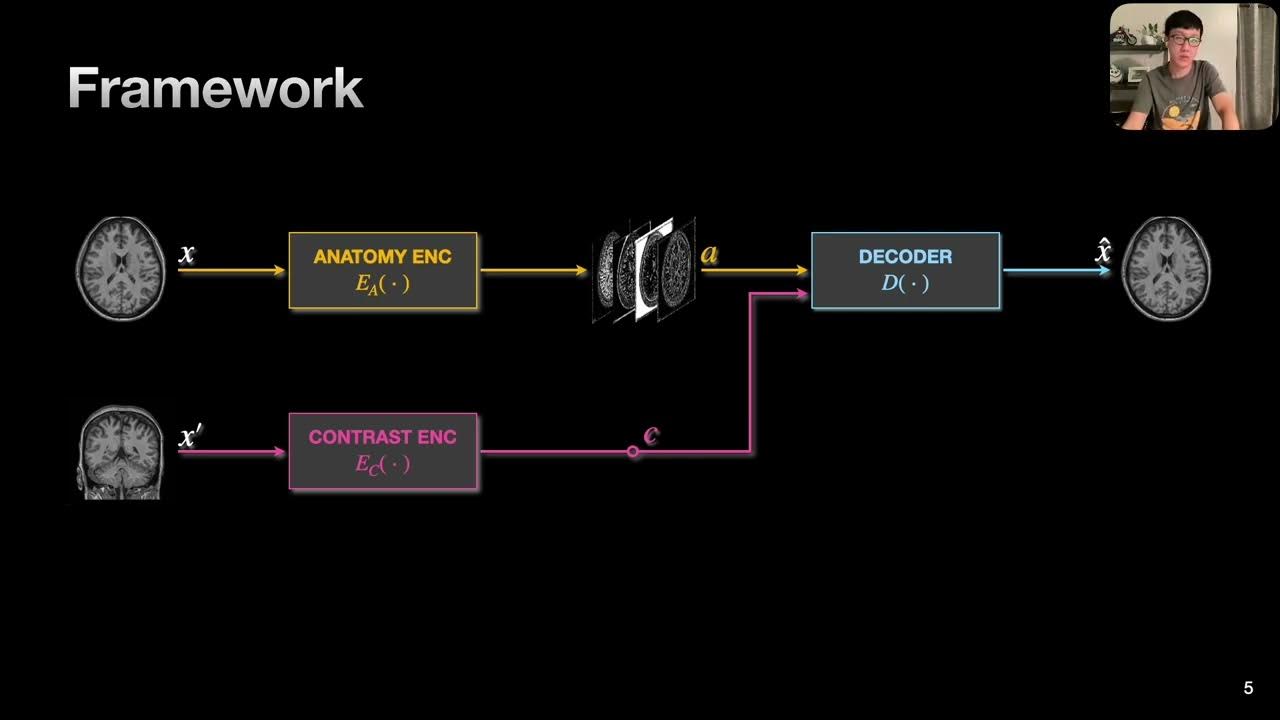 Disentangling from A Single MR Modality | MICCAI 2022 - YouTube