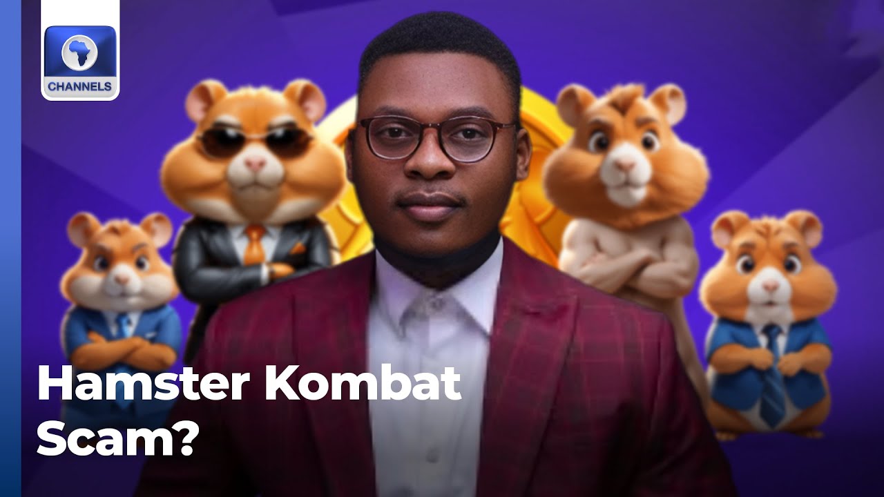 Hamster : Optimism Grows Despite Network Outage - YouTube