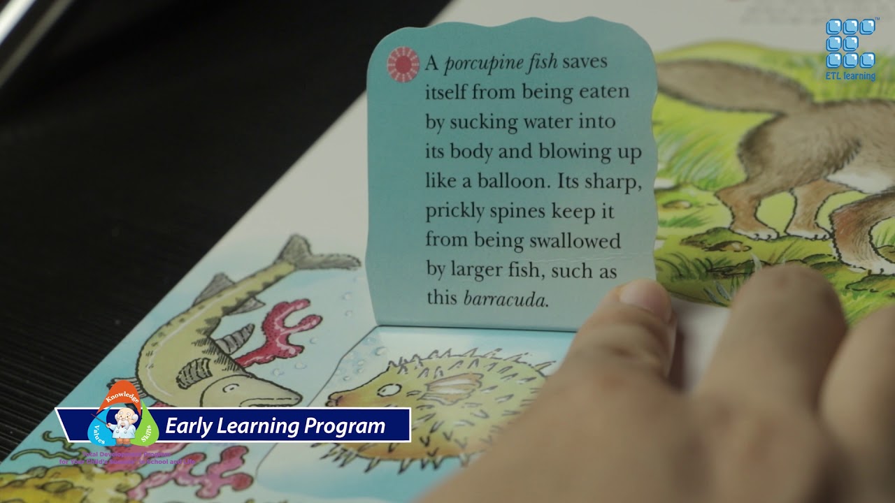 Lift-and-Flap Feature in Early Learning Program Books - YouTube