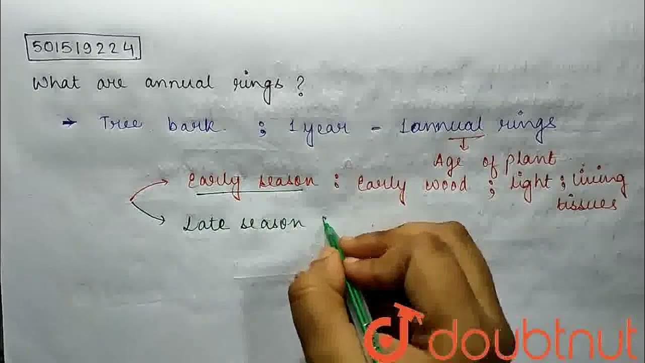 What Are Annual Rings Class 11 Anatomy Of Flowering Plants Biology Doubtnut Youtube
