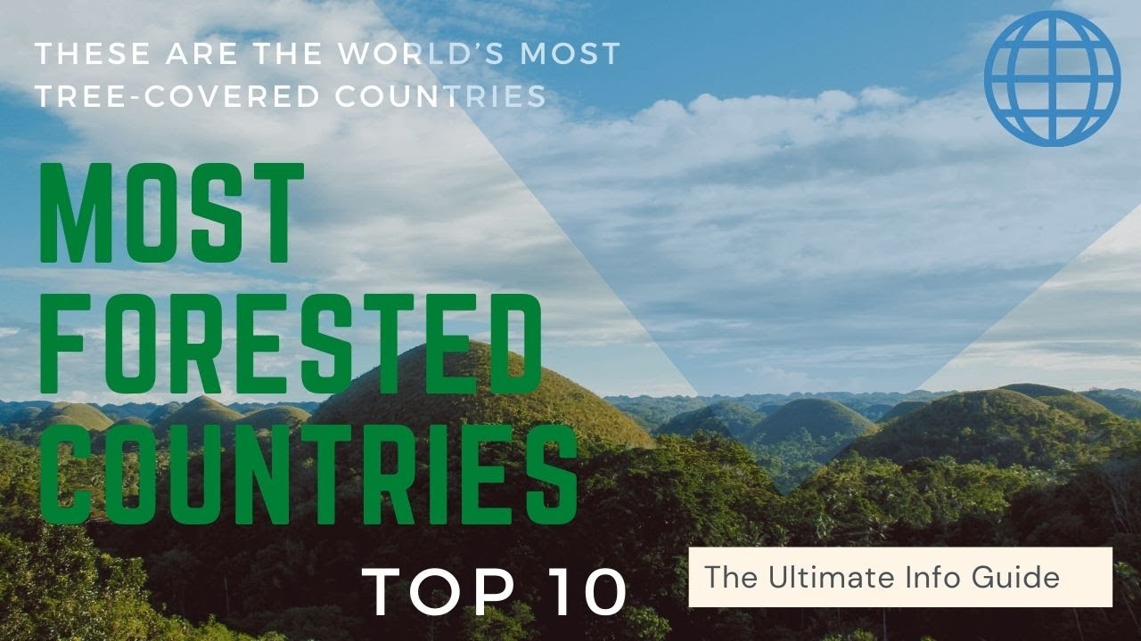 Most Forested Countries | These are the world’s most tree-covered ...