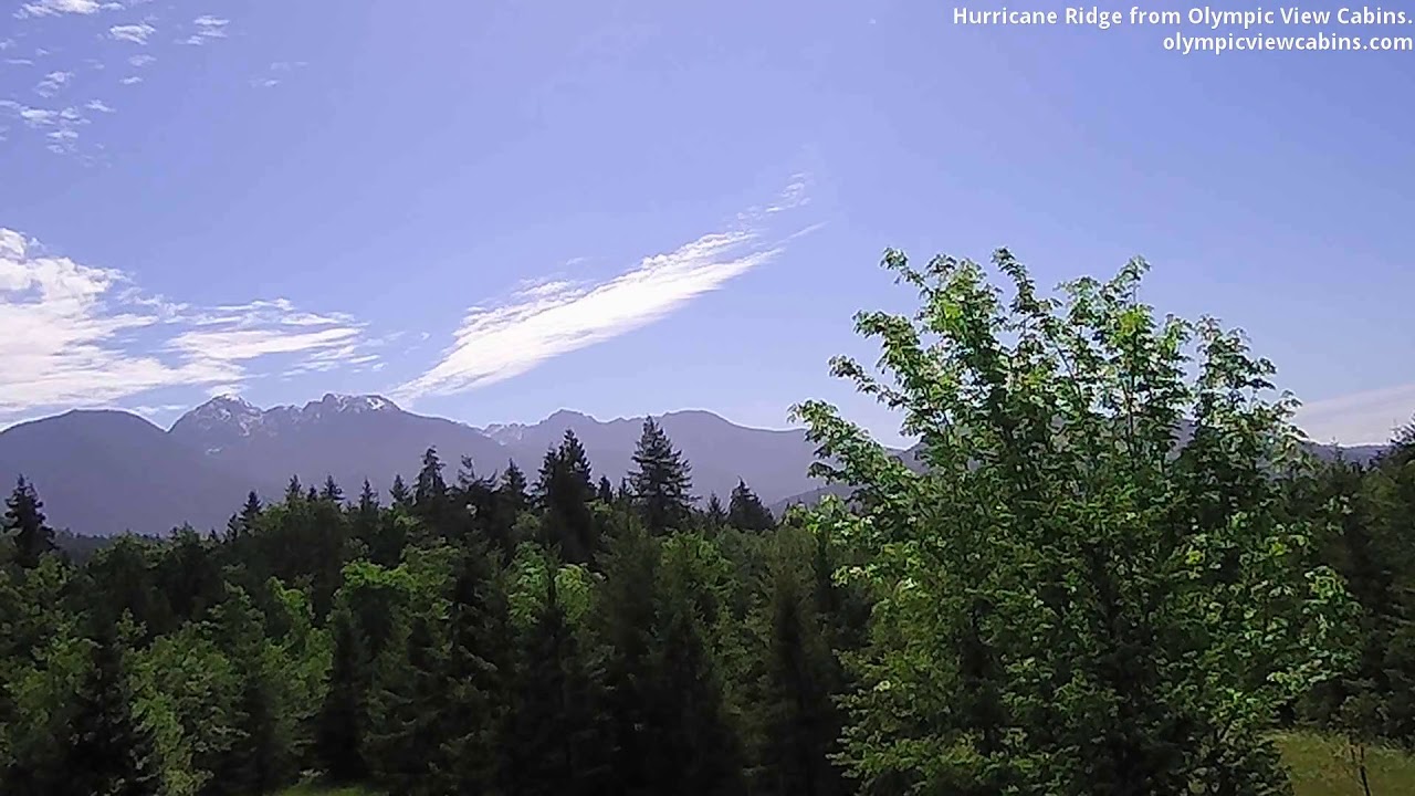 2020-05-29 Olympic View Cabins Hurricane Ridge Cam - YouTube