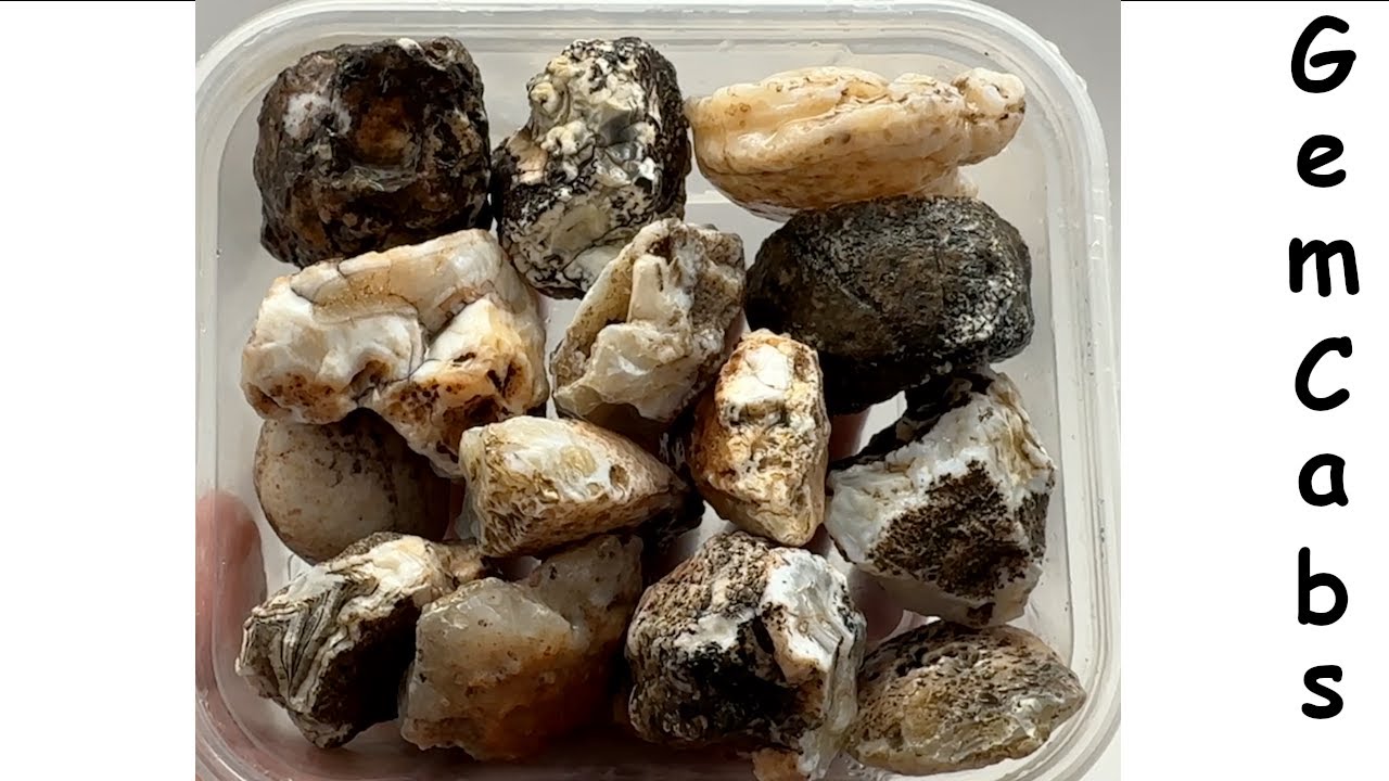 Group of Arizona Gila Bend Mountain Agates Cut Open to Reveal the ...
