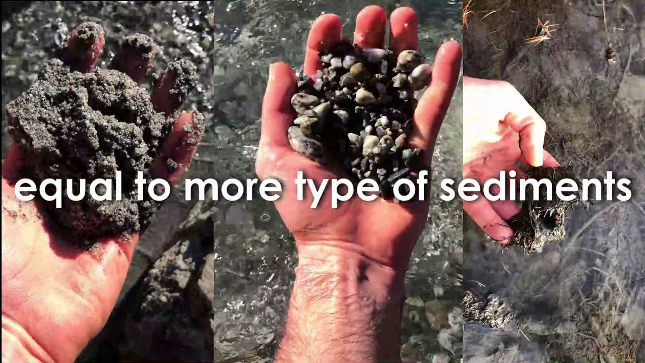 River ecology (trailer) - eco&eco - L&T's River project - YouTube