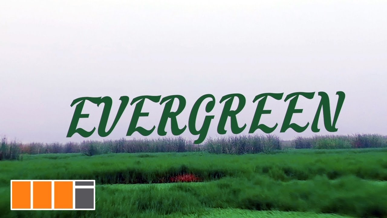 King Maaga - Evergreen (Official Video) - YouTube
