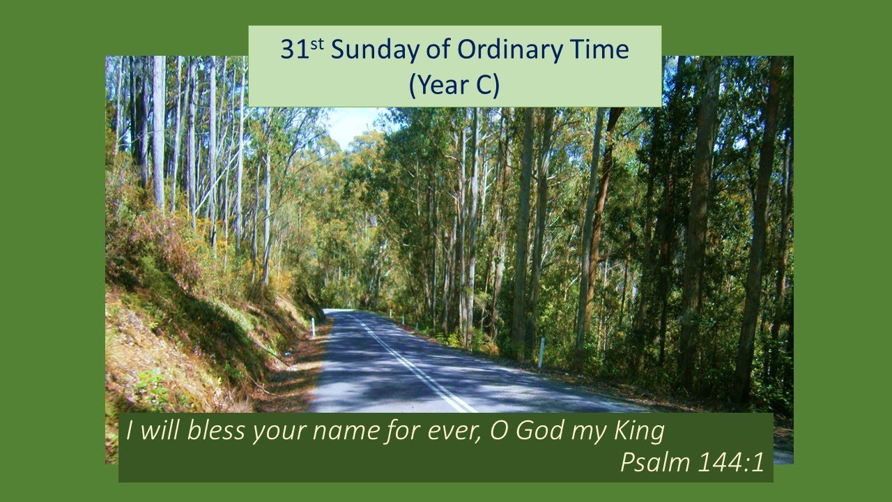 31st Sunday of Ordinary Time (Year C) - YouTube