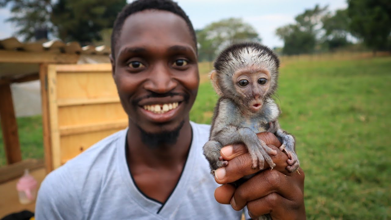 Bonding with my Baby Monkey - YouTube