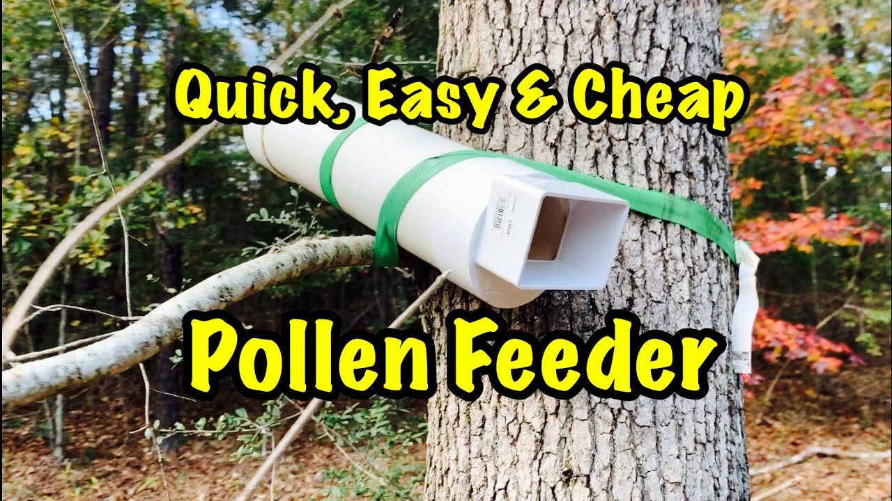 BEEKEEPING - EASY Way to Build POLLEN Feeders for LESS THAN $10 - YouTube