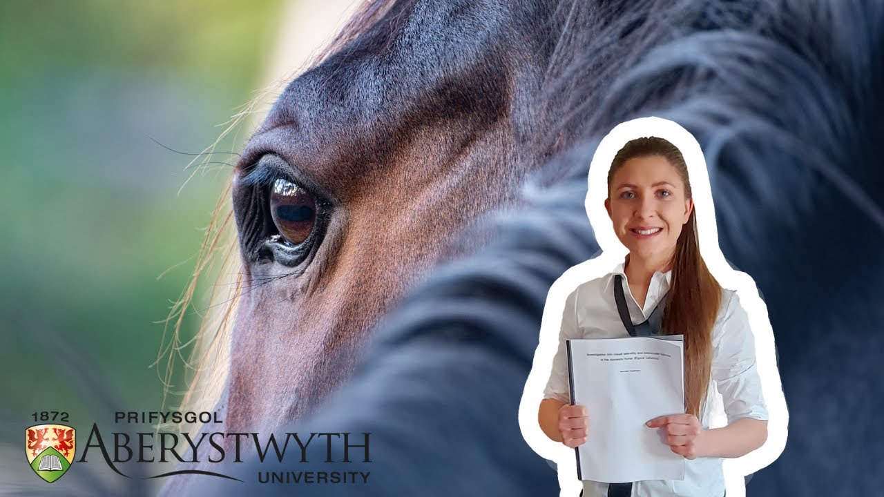How Horses See the World: Revealed in my Equine Science Dissertation ...