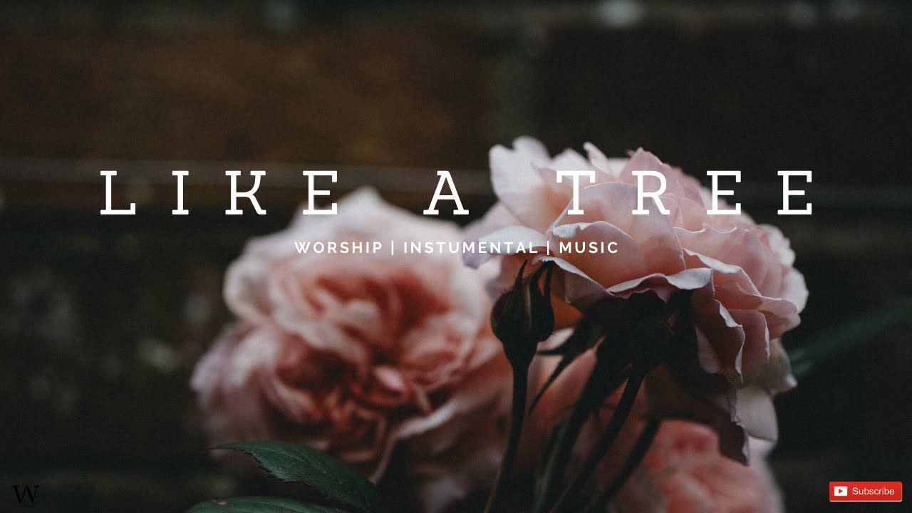 2 Hours-Instrumental Worship Music | LIKE A TREE | Prophetic Worship ...
